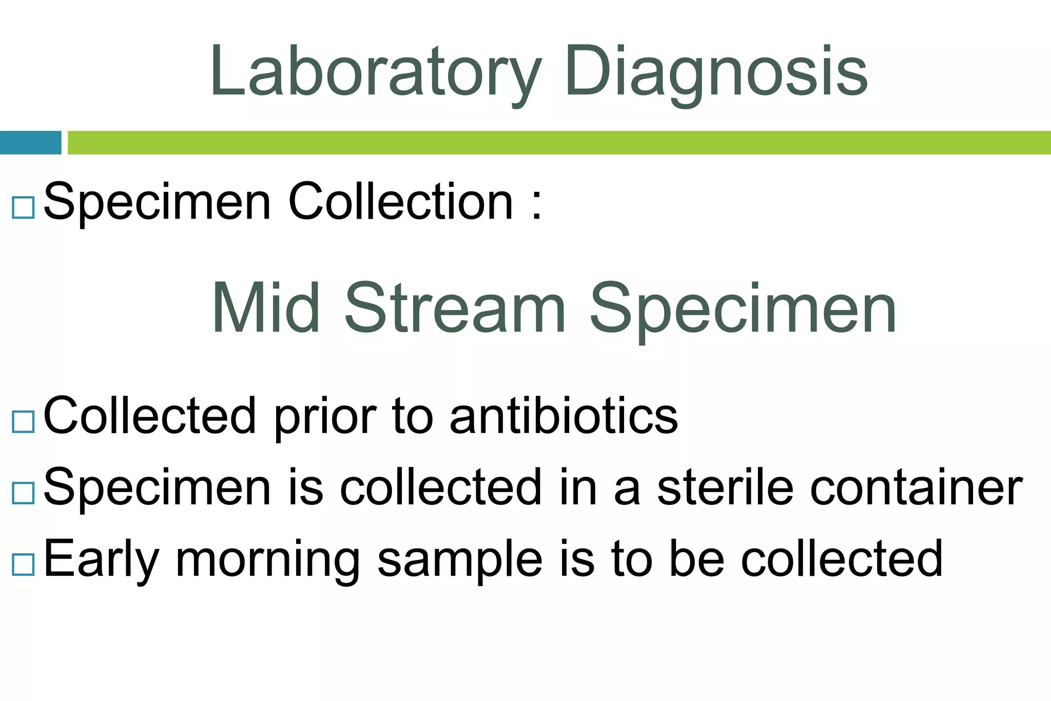 Laboratory diagnosis of urinary tract infection | PPTX