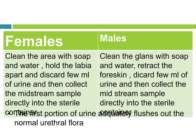 Laboratory diagnosis of urinary tract infection | PPTX