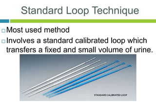 Laboratory diagnosis of urinary tract infection | PPTX