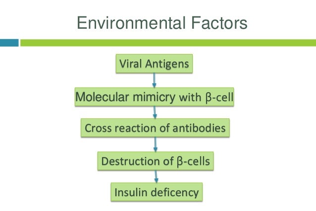 Diabetes Mellitus | Classification , Etiology , Pathogenesis , Compli… Diabetes Mellitus | Classification , Etiology , Pathogenesis , Compli…