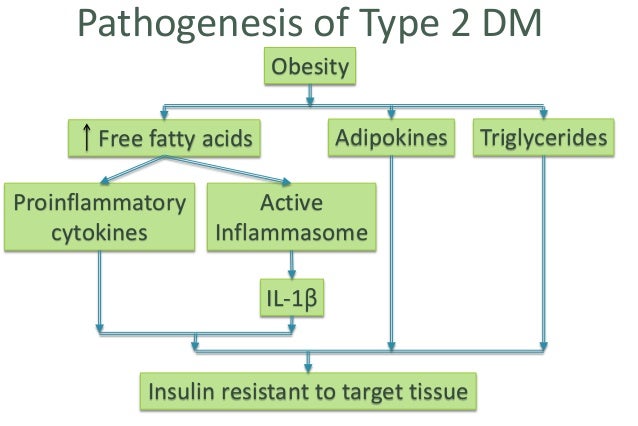 Diabetes Mellitus | Classification , Etiology , Pathogenesis , Compli… Diabetes Mellitus | Classification , Etiology , Pathogenesis , Compli…