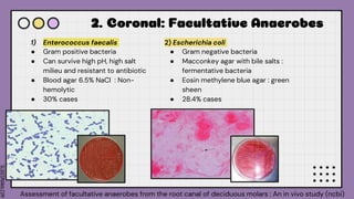 Group D_Dentoalveolar Infection.pptx