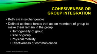 GROUP PRESSURE COHESIVENESS LEADERSHIP | PPT