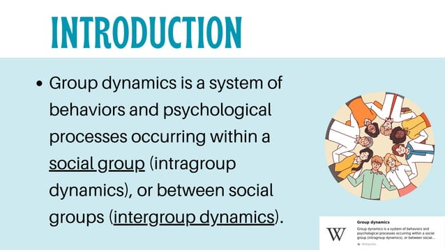 Unit IV: Community Group Work: Group Dynamics | PDF
