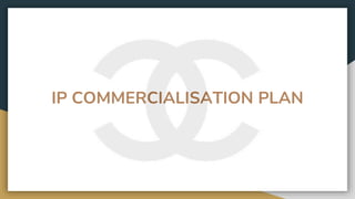 IP Commercialisation Plan | PPTX