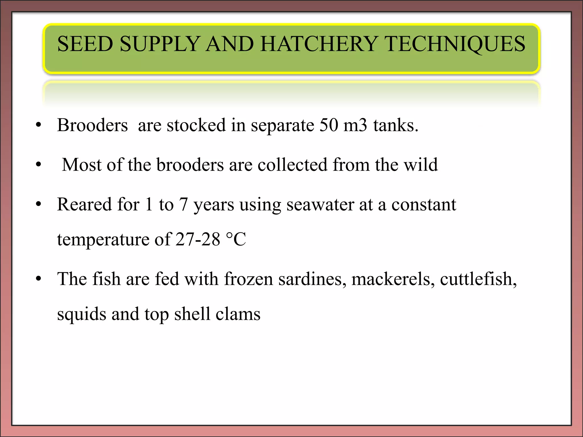 distribution,biology,seed collection,nursery rearing and culture ...