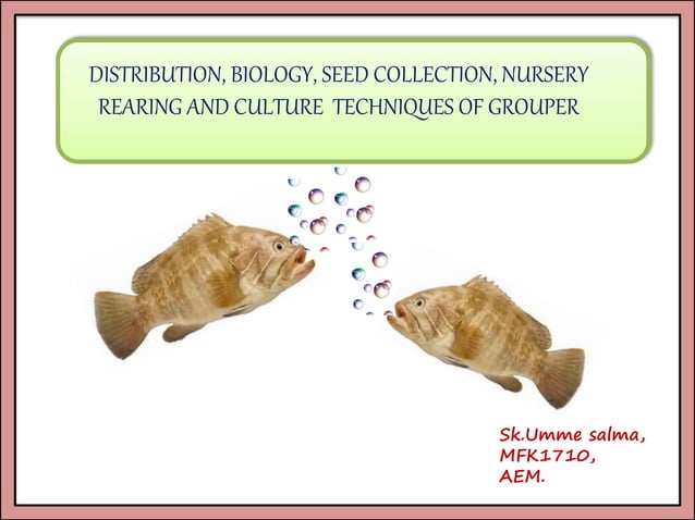 distribution,biology,seed collection,nursery rearing and culture ...