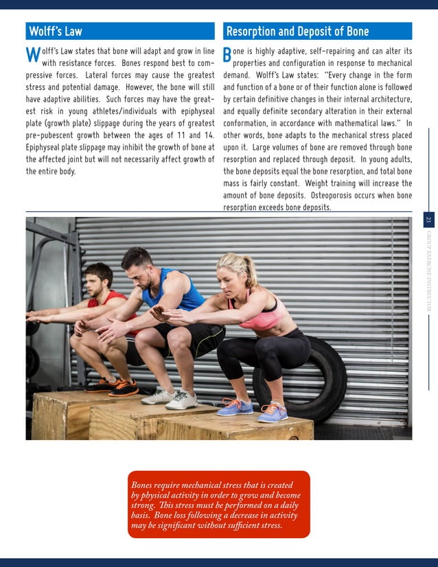 Group Exercise Instructor Certification Manual | PDF