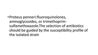 group four.pptx on proteues species in h | PPTX | Infectious Diseases ...