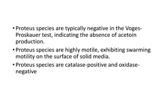 group four.pptx on proteues species in h | PPTX | Infectious Diseases ...