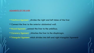 GROUP FOUR PRESENTATION _LIVER FUNCTIONS ,ANATOMY AND HISTOLOGY.pptx