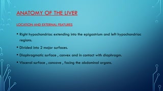 GROUP FOUR PRESENTATION _LIVER FUNCTIONS ,ANATOMY AND HISTOLOGY.pptx