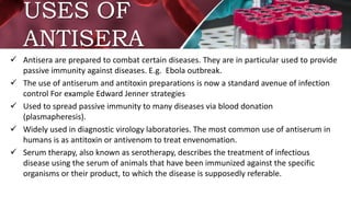 antiserum by samawia iqbal | PPTX