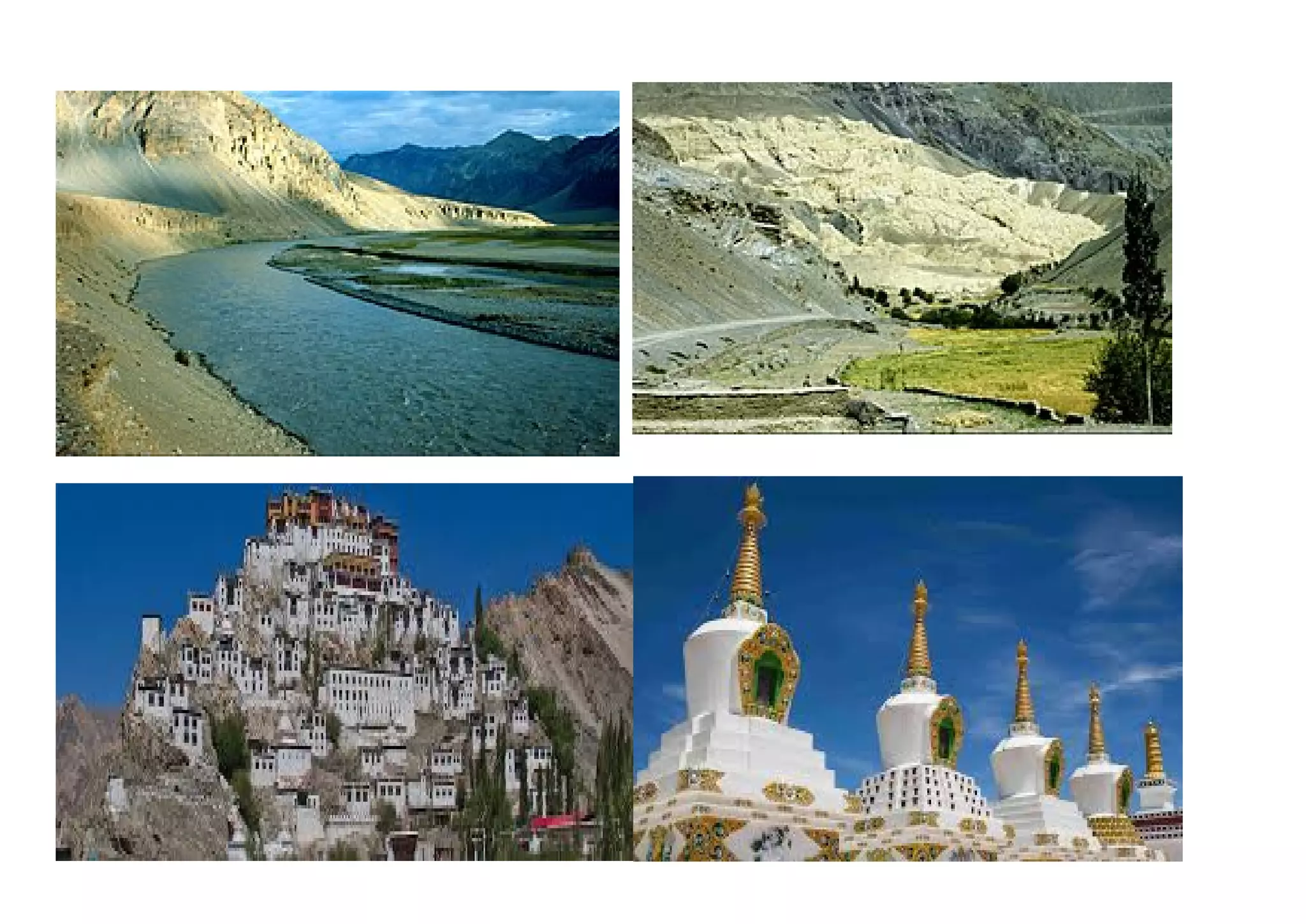 Hindi AIP project on LADAKH class 10 | PDF