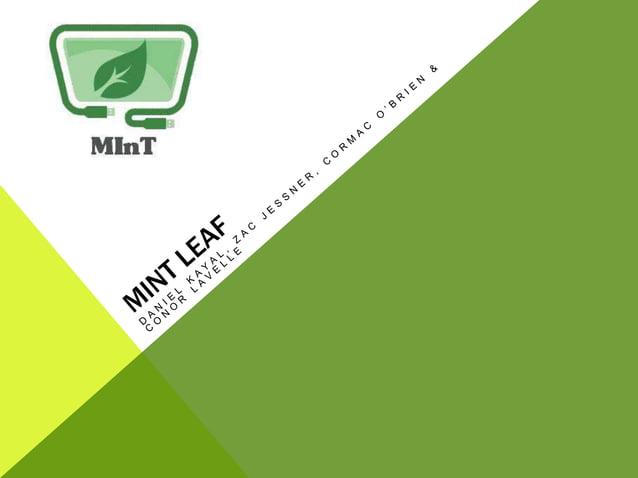 MInT Social Media Marketing Campaign | PPT