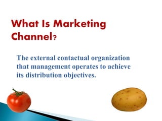 marketing channel of vegetable | PPTX