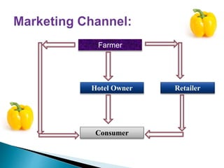 marketing channel of vegetable | PPTX