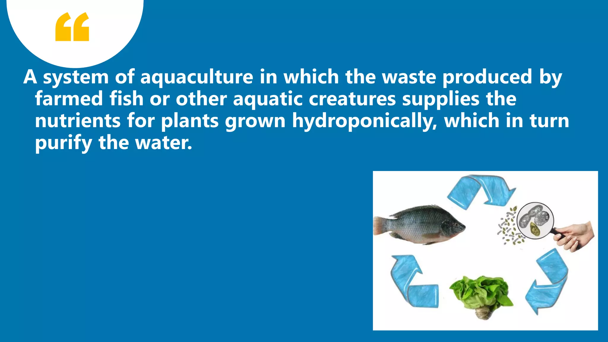 Aquaponics | PDF