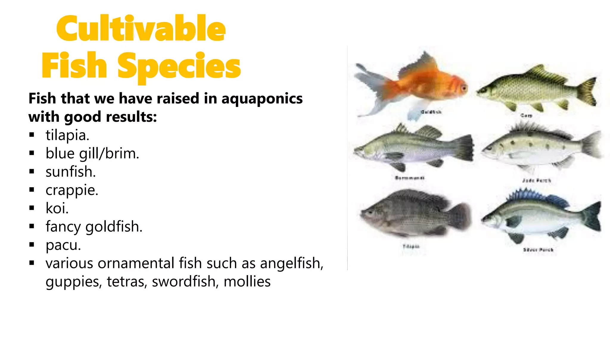 Aquaponics | PDF