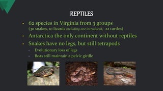 GROUP I(BASKING).pptx