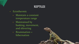 GROUP I(BASKING).pptx | Free Download