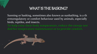 GROUP I(BASKING).pptx