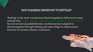 GROUP I(BASKING).pptx