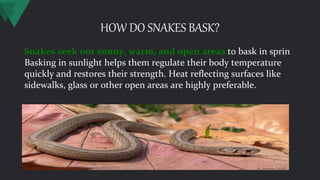 GROUP I(BASKING).pptx