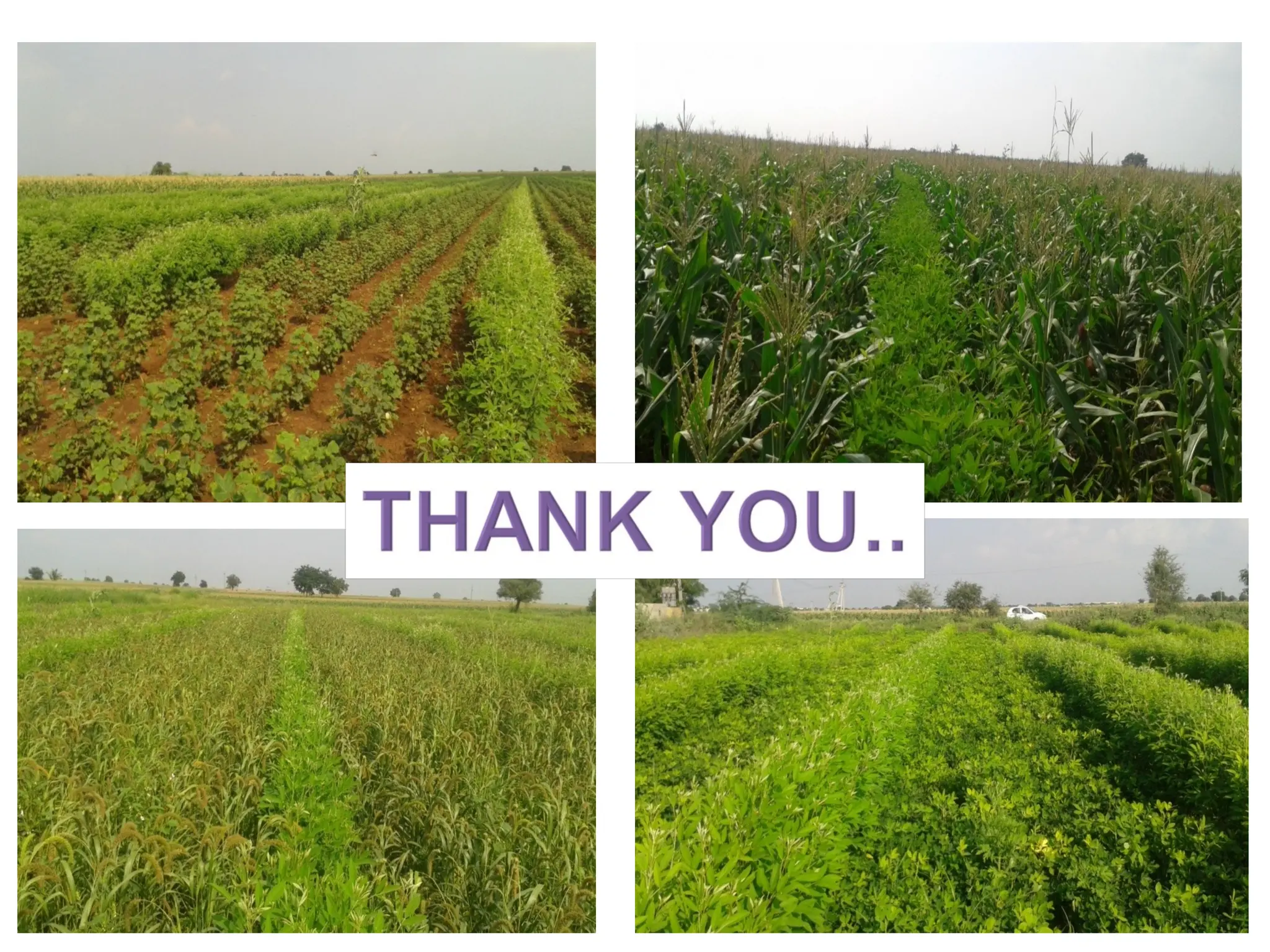 Group snnsnsndnfnfnnfbfbfbbfbd dhjd II.ppt