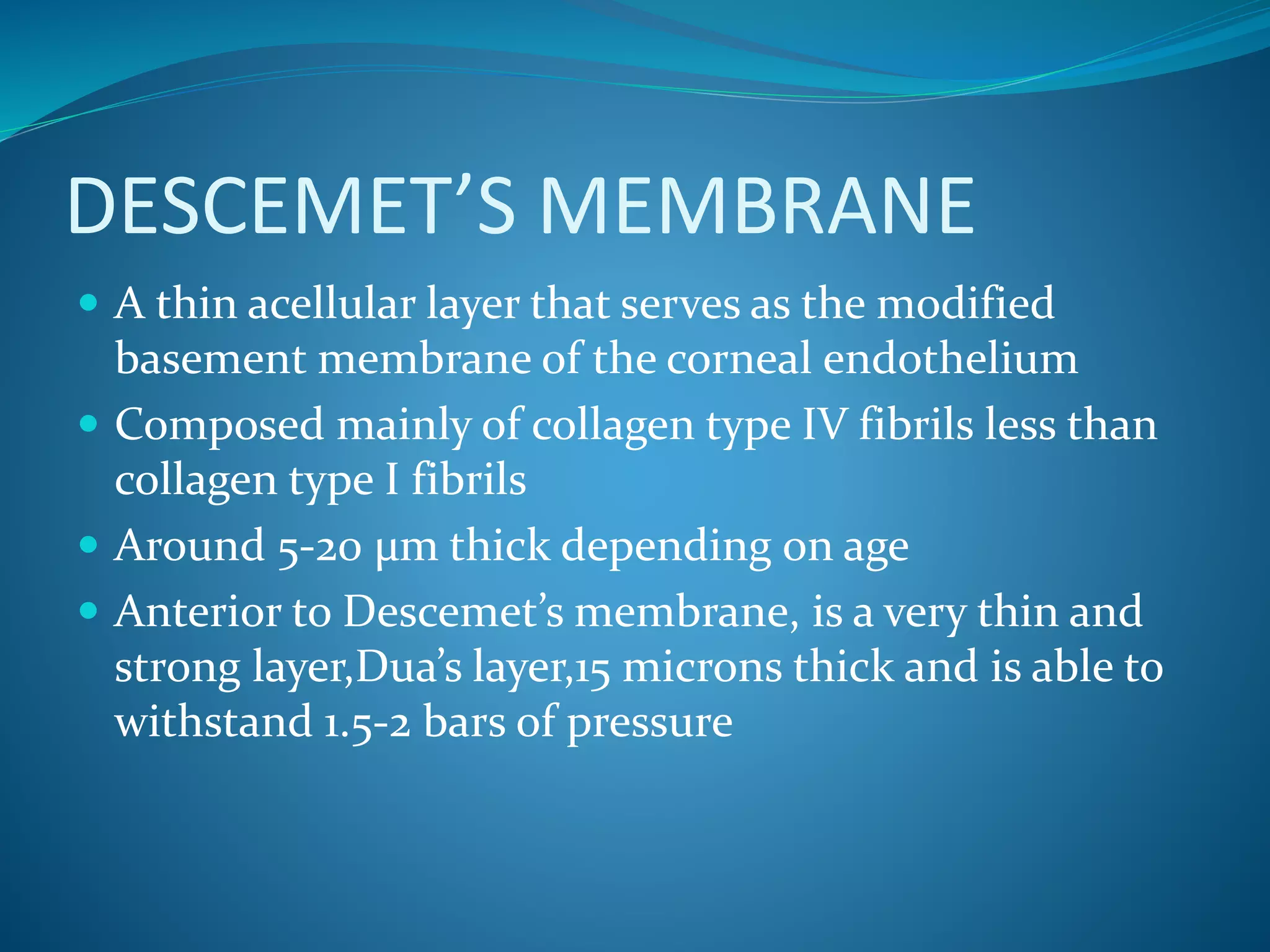 ANATOMY OF THE CORNEA | PPTX
