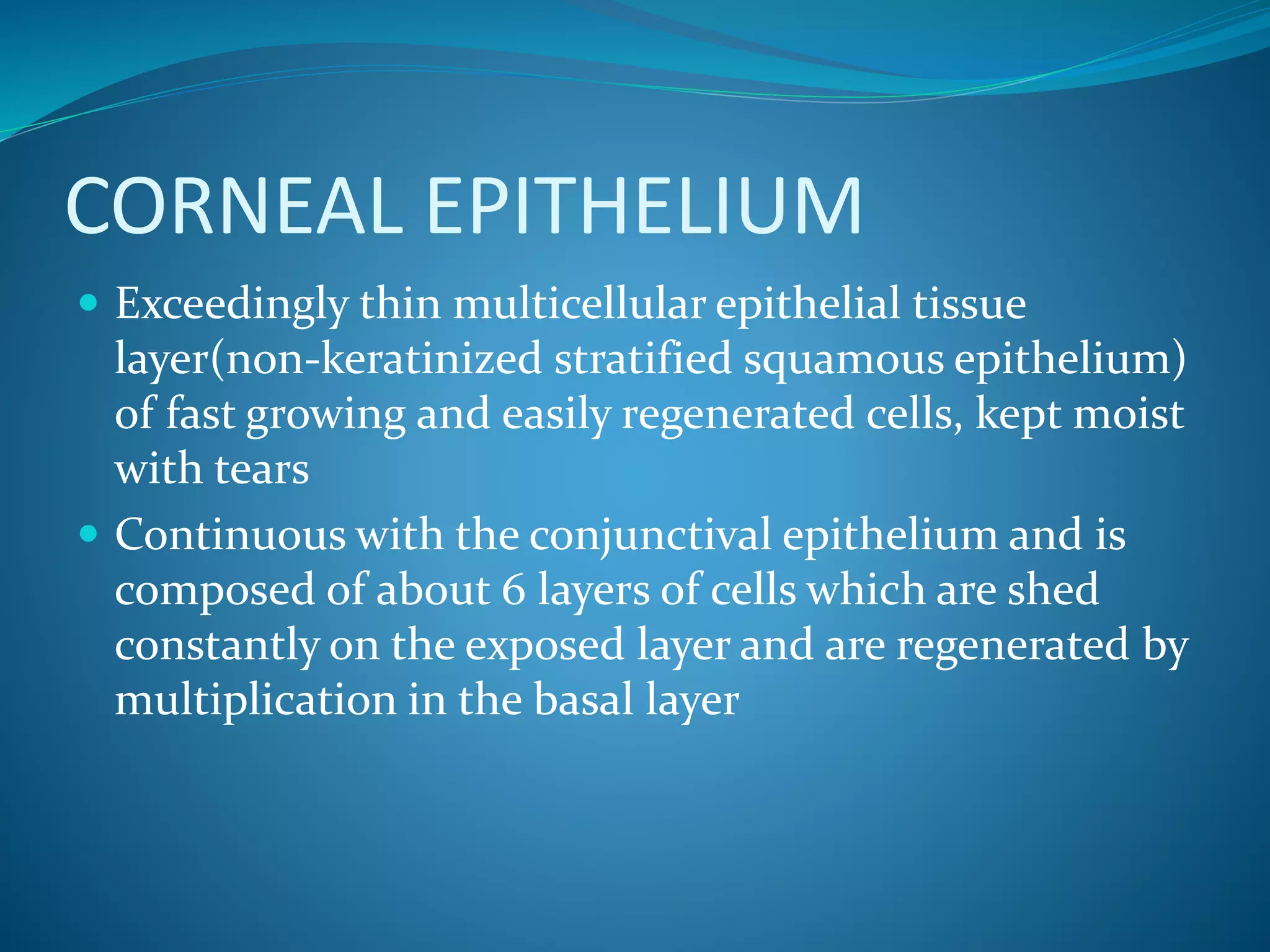 ANATOMY OF THE CORNEA | PPTX