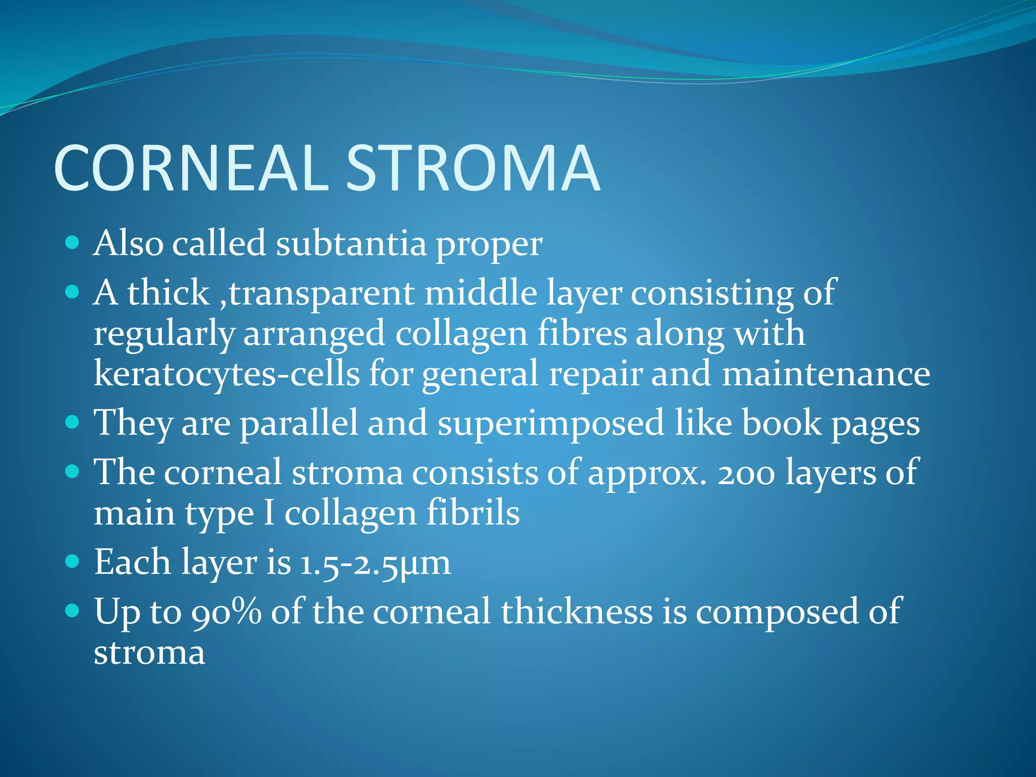 ANATOMY OF THE CORNEA | PPTX