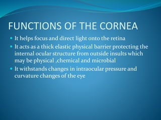 ANATOMY OF THE CORNEA | PPT