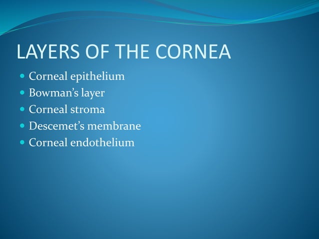 ANATOMY OF THE CORNEA | PPT
