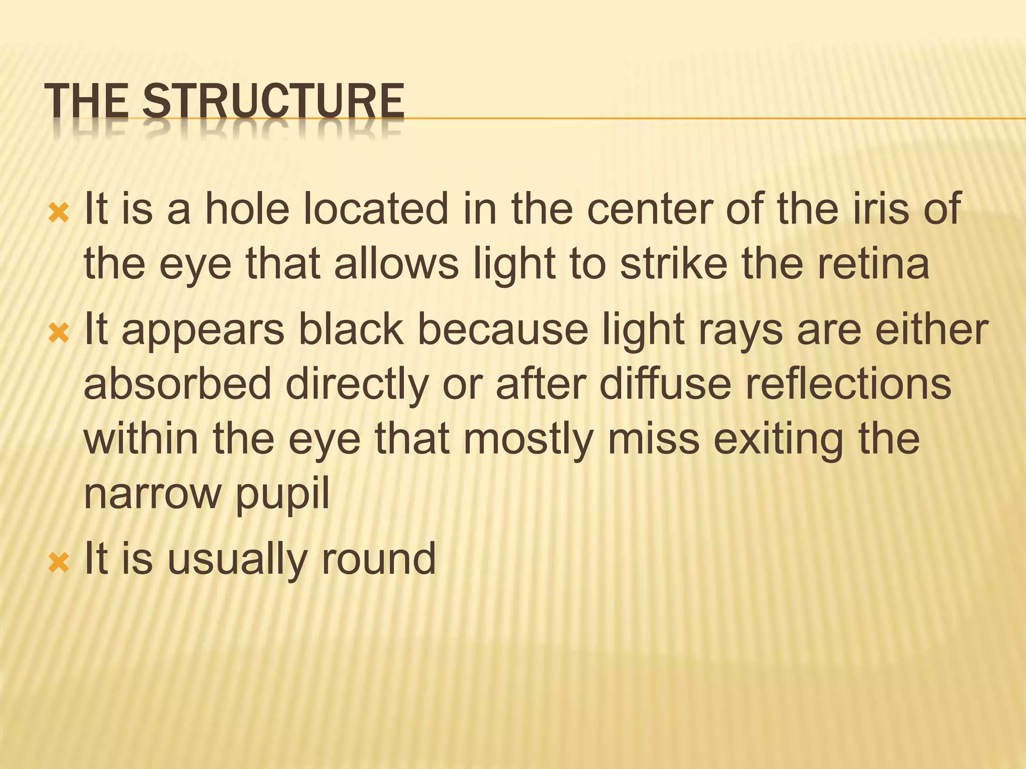 ANATOMY OF THE PUPIL | PPTX
