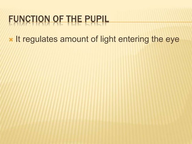 ANATOMY OF THE PUPIL | PPTX