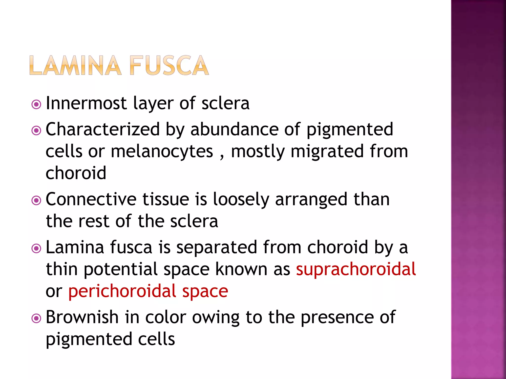 ANATOMY OF THE SCLERA | PPTX