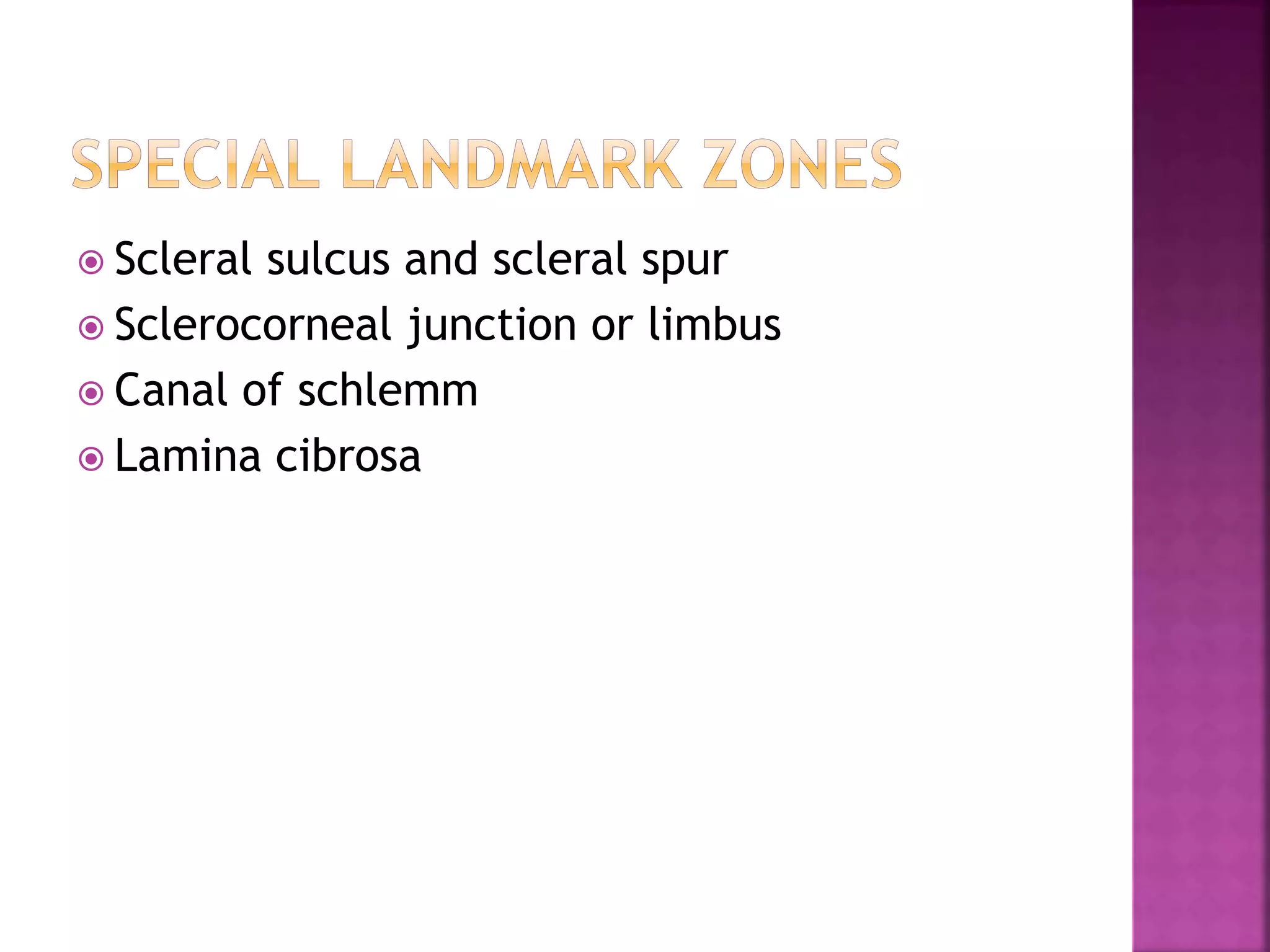 ANATOMY OF THE SCLERA | PPTX