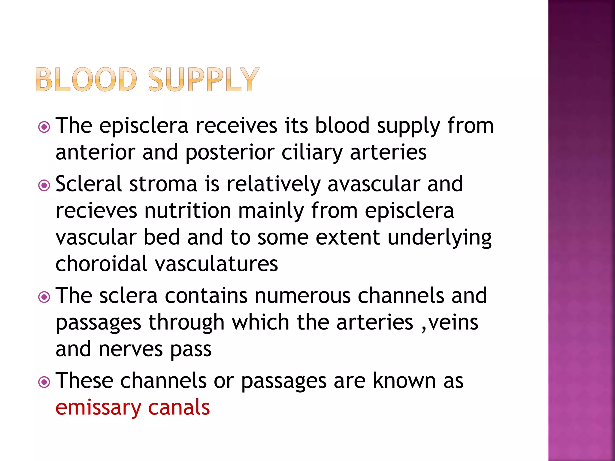 ANATOMY OF THE SCLERA | PPTX