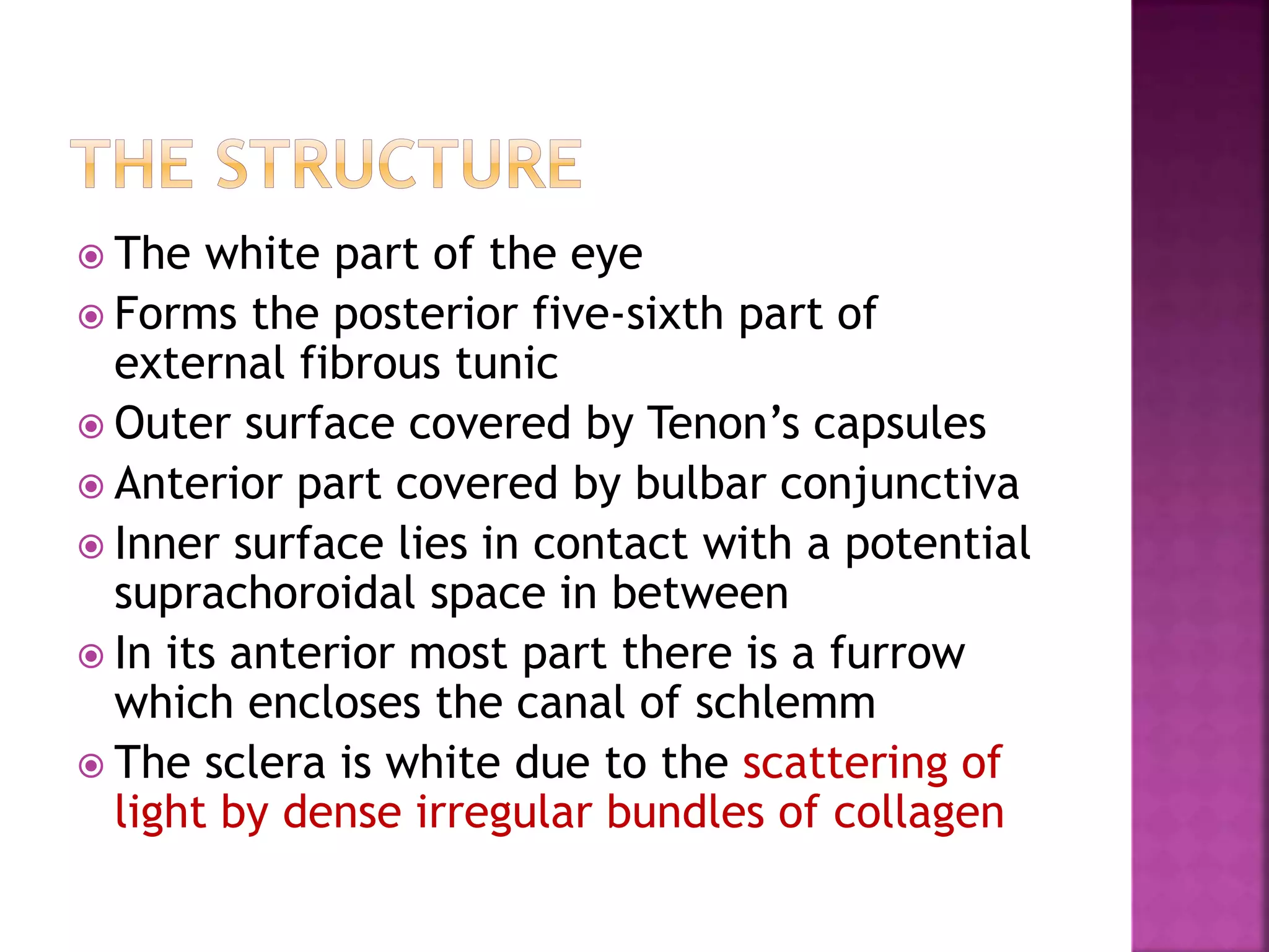 ANATOMY OF THE SCLERA | PPTX