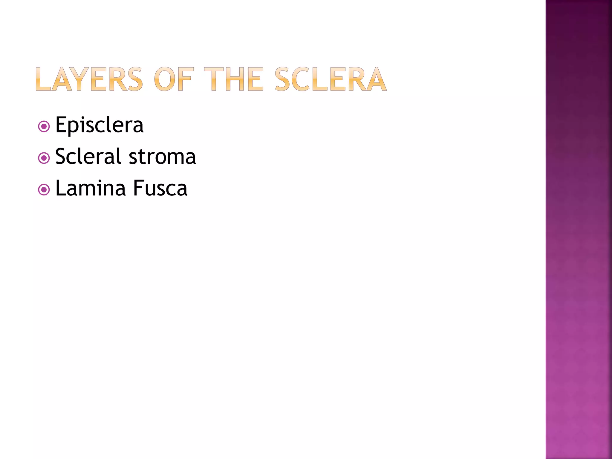 ANATOMY OF THE SCLERA | PPTX