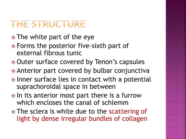 ANATOMY OF THE SCLERA | PPTX