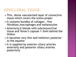 ANATOMY OF THE SCLERA | PPTX