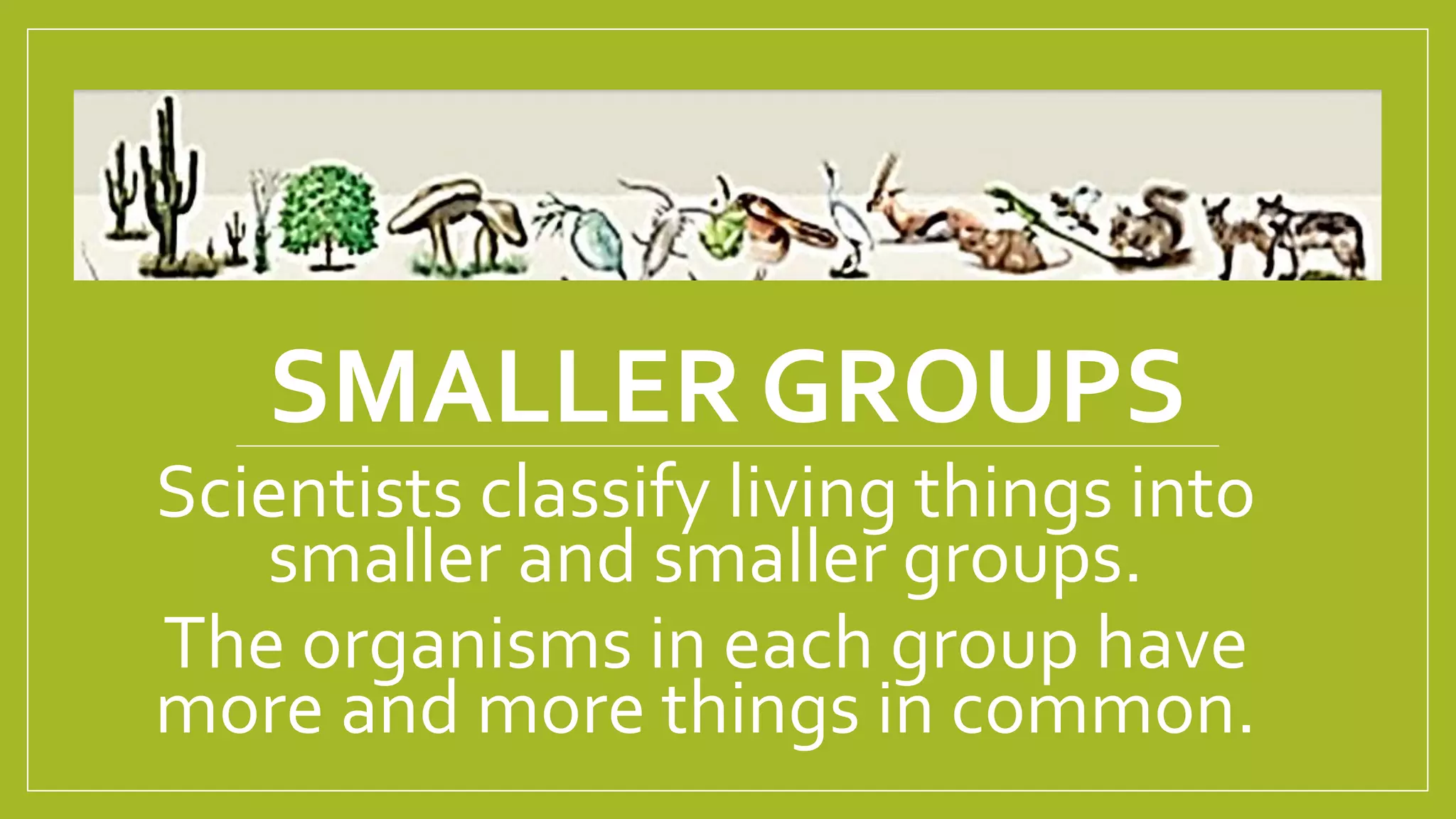 Grouping living things | PPTX