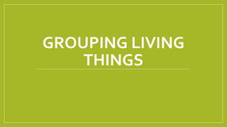Grouping living things | PPTX