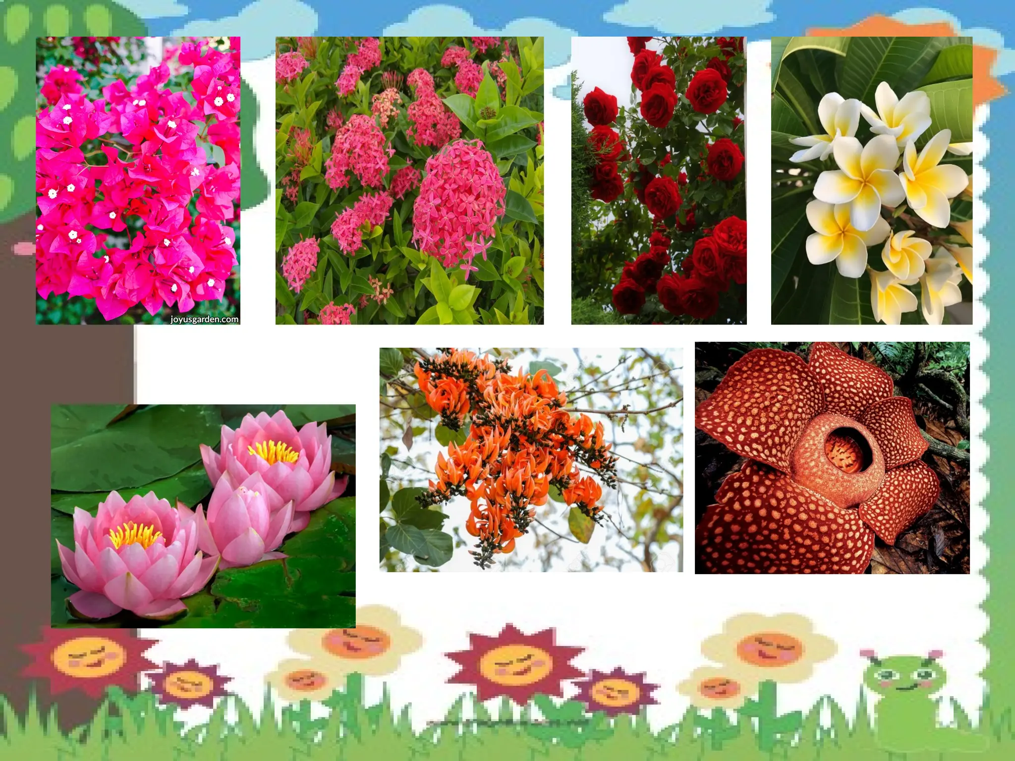 Grouping PlantsGrouping PlantsGrouping Plants.pptx