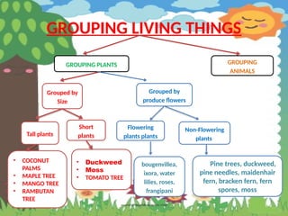 Grouping PlantsGrouping PlantsGrouping Plants.pptx