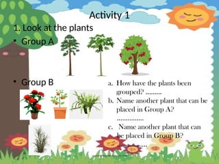 Grouping PlantsGrouping PlantsGrouping Plants.pptx