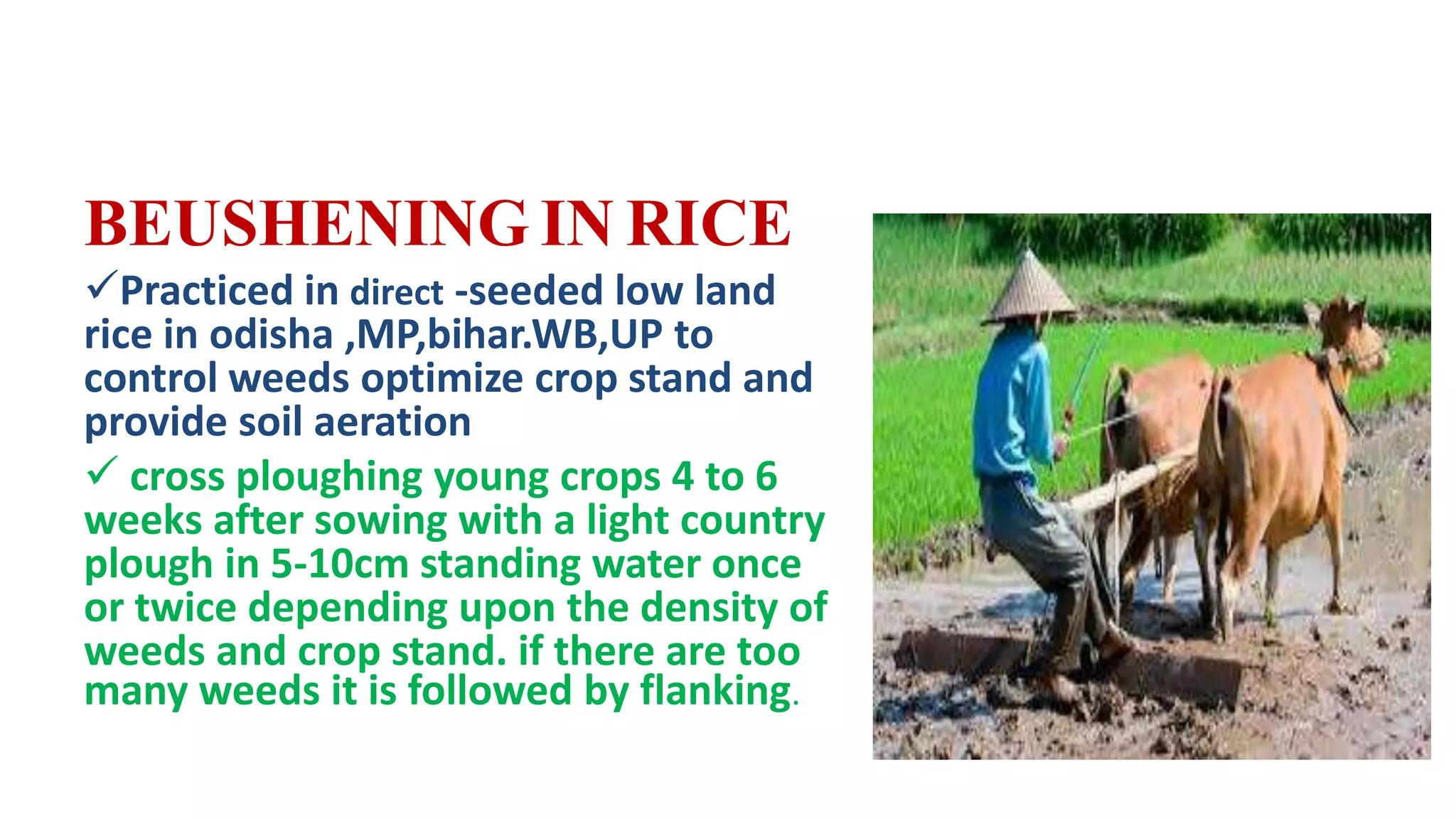 organic farming using ITK | PPTX