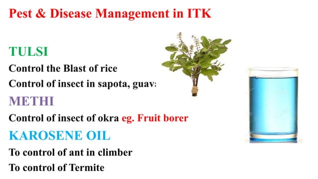 organic farming using ITK | PPTX